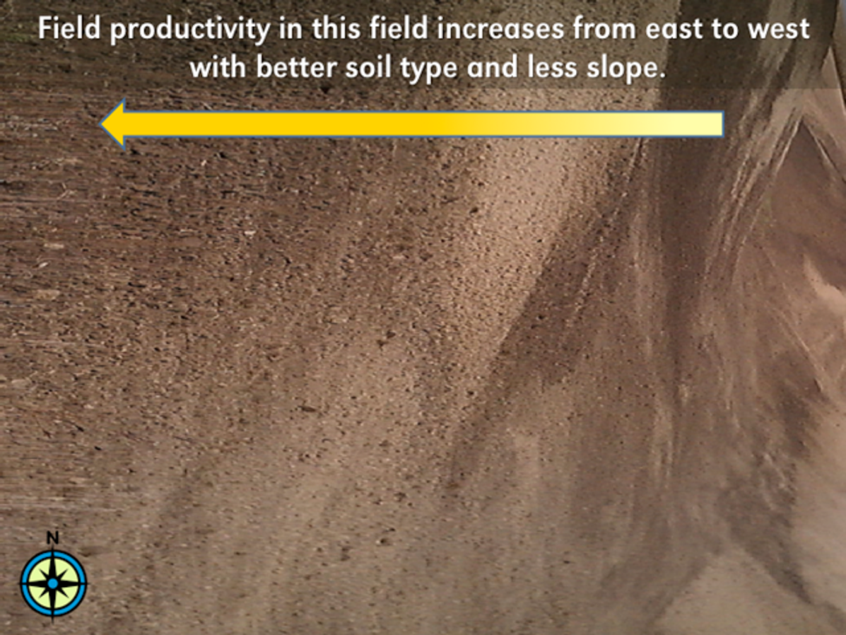 Site Selection | Nebraska On-Farm Research Network | Nebraska