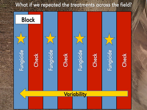 Design Your Experiment Layout | Nebraska On-Farm Research Network ...