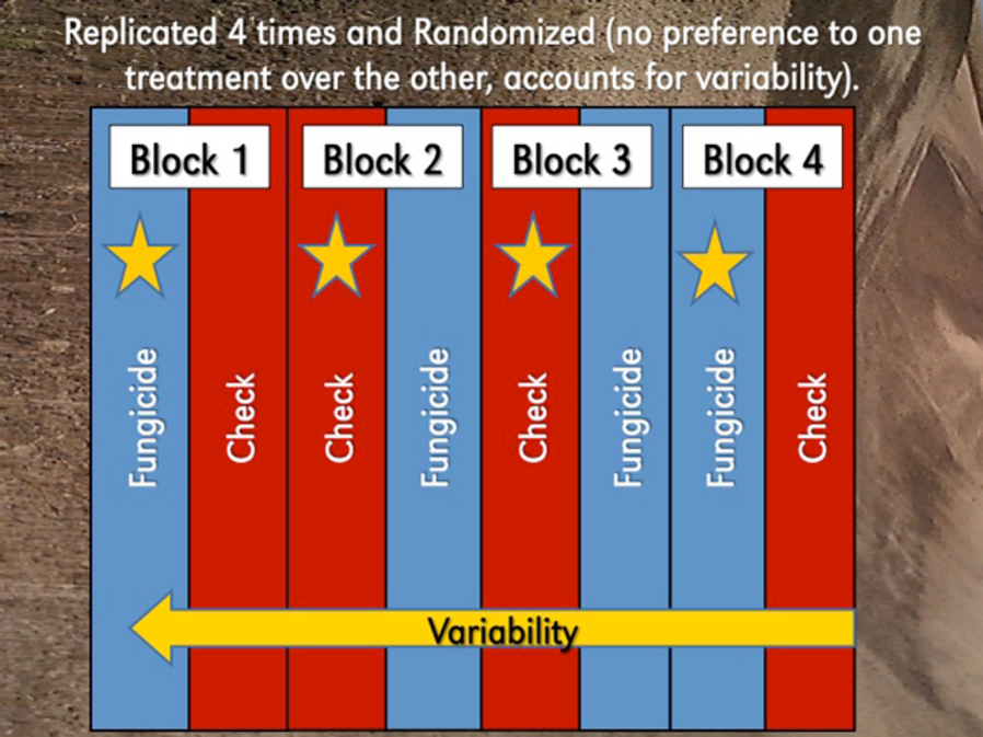 Design Your Experiment Layout | Nebraska On-Farm Research Network ...
